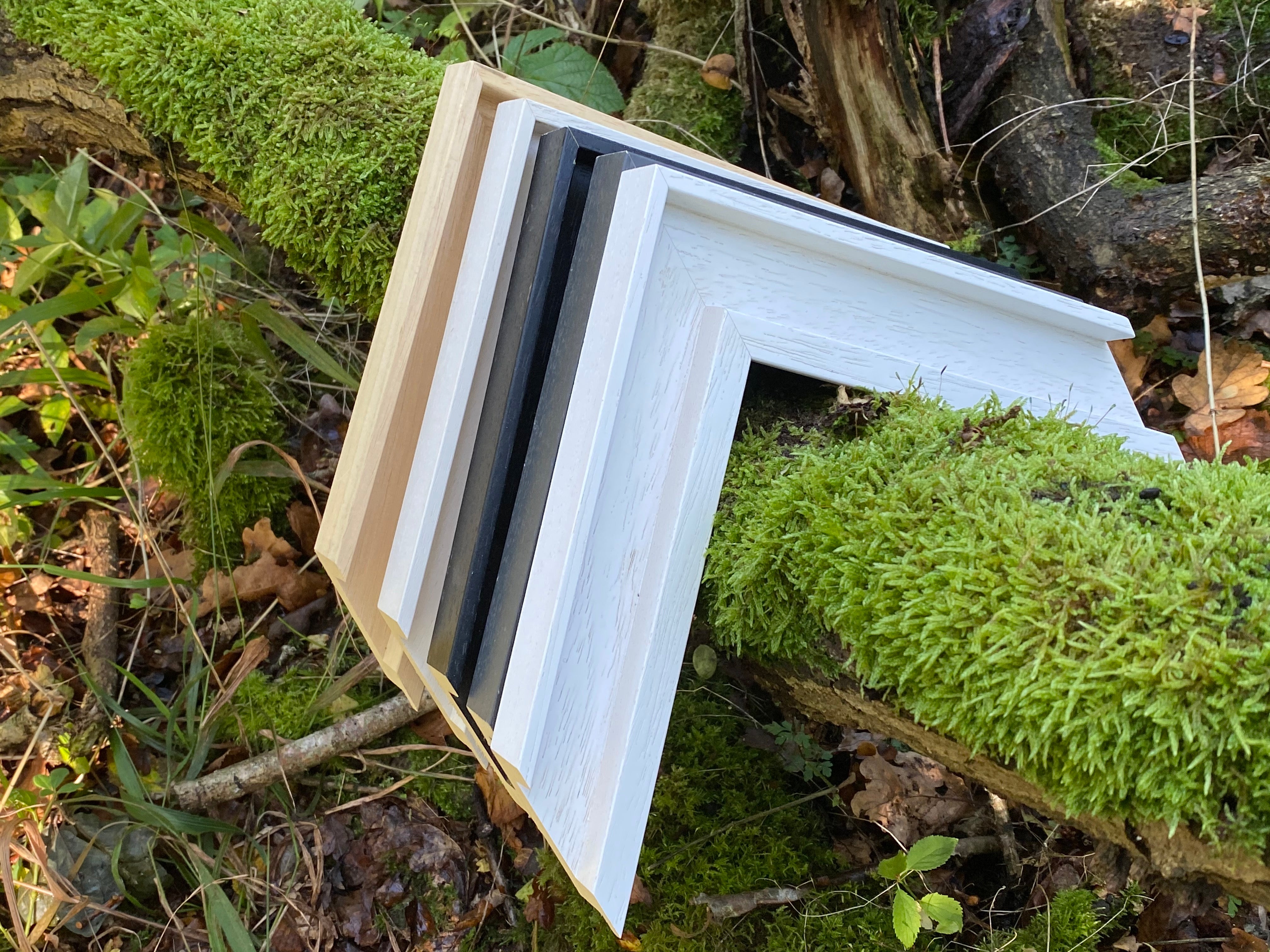 Mini St Ives 50MM – Forest Frames