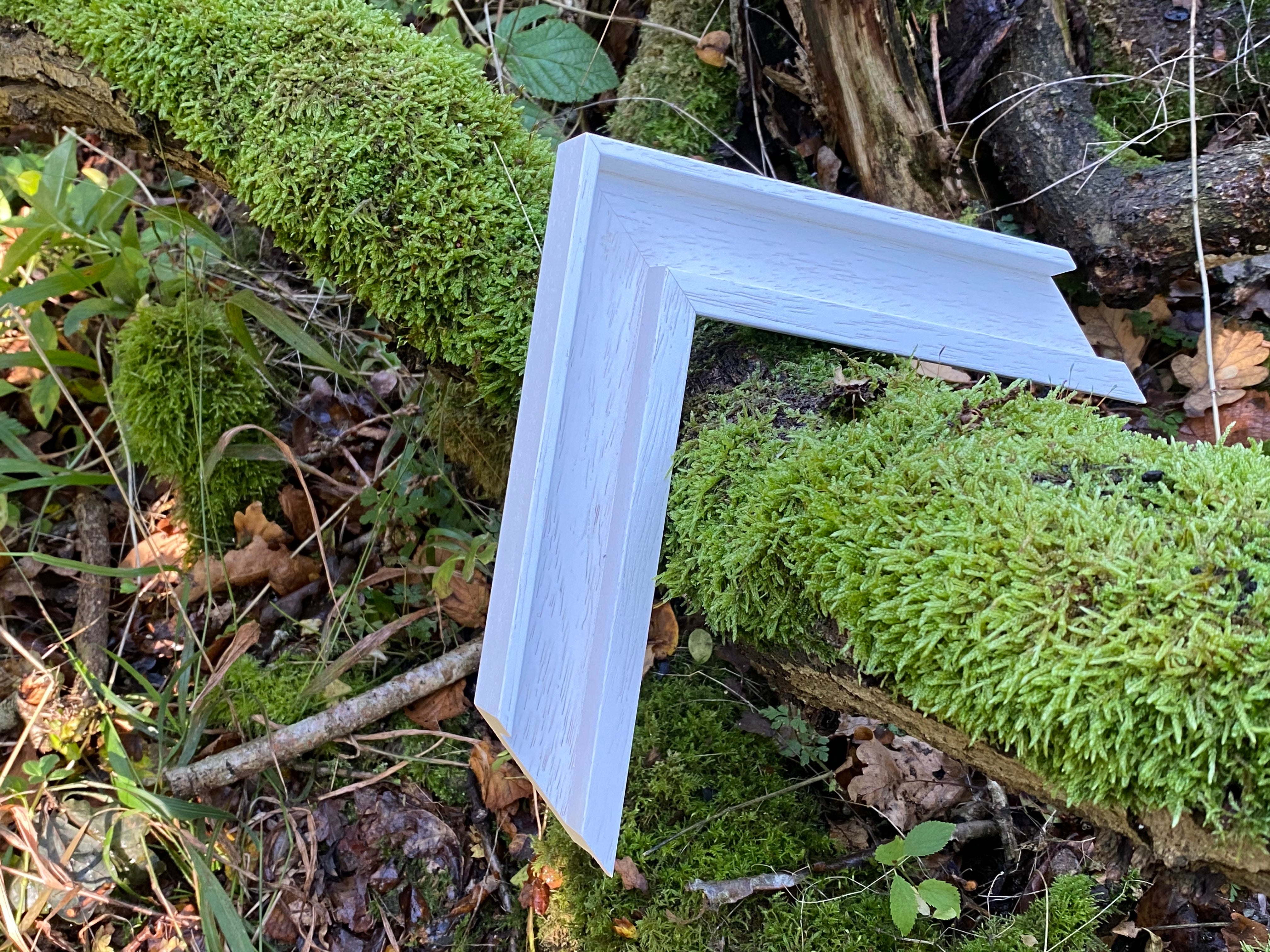 Mini ST Ives 50MM White – Forest Frames