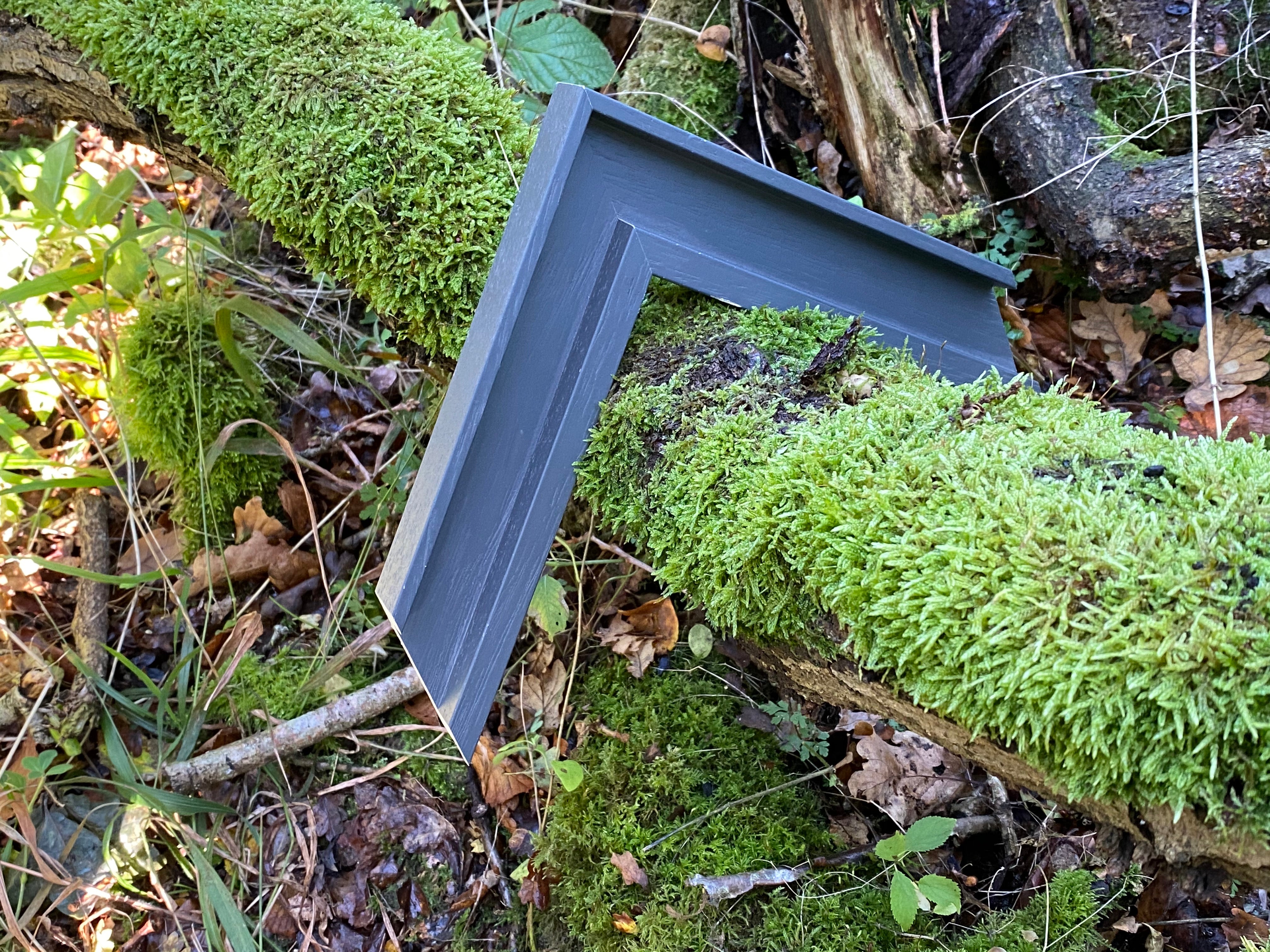 Mini ST Ives 50MM Grey – Forest Frames