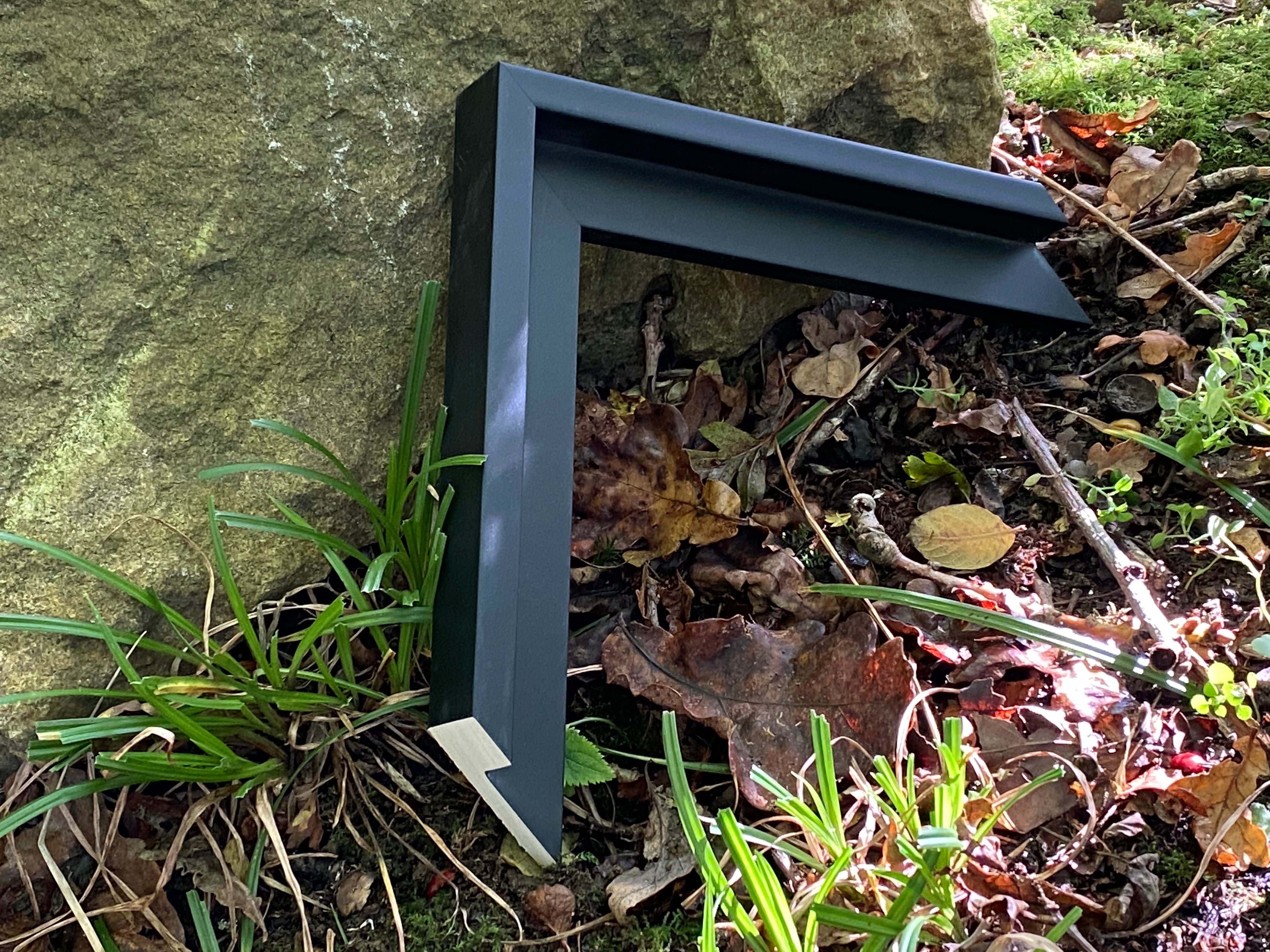 Tray Frame Shallow 12MM Matt Black – Forest Frames