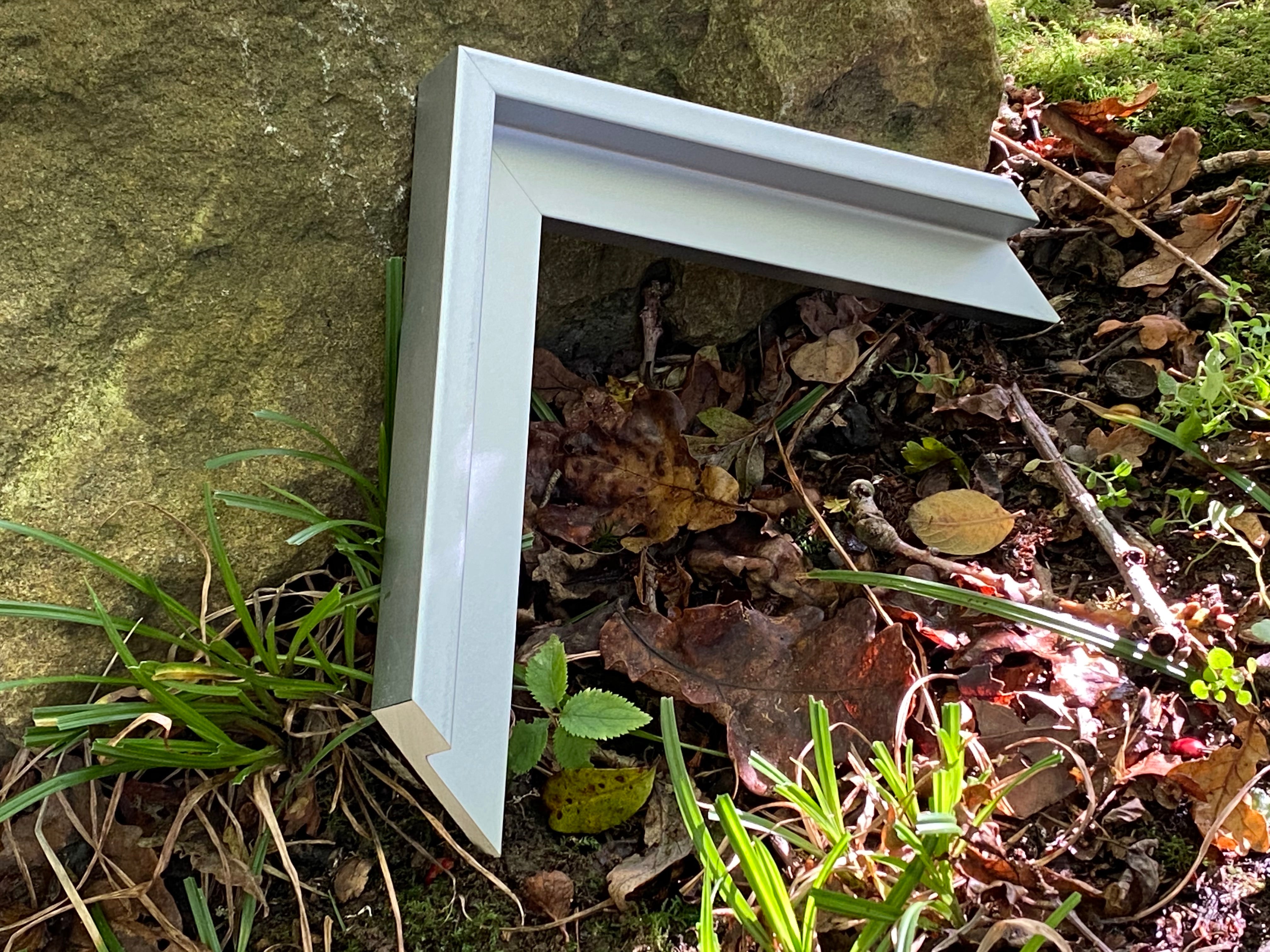 Tray Frame Shallow 12MM Matt Silver – Forest Frames