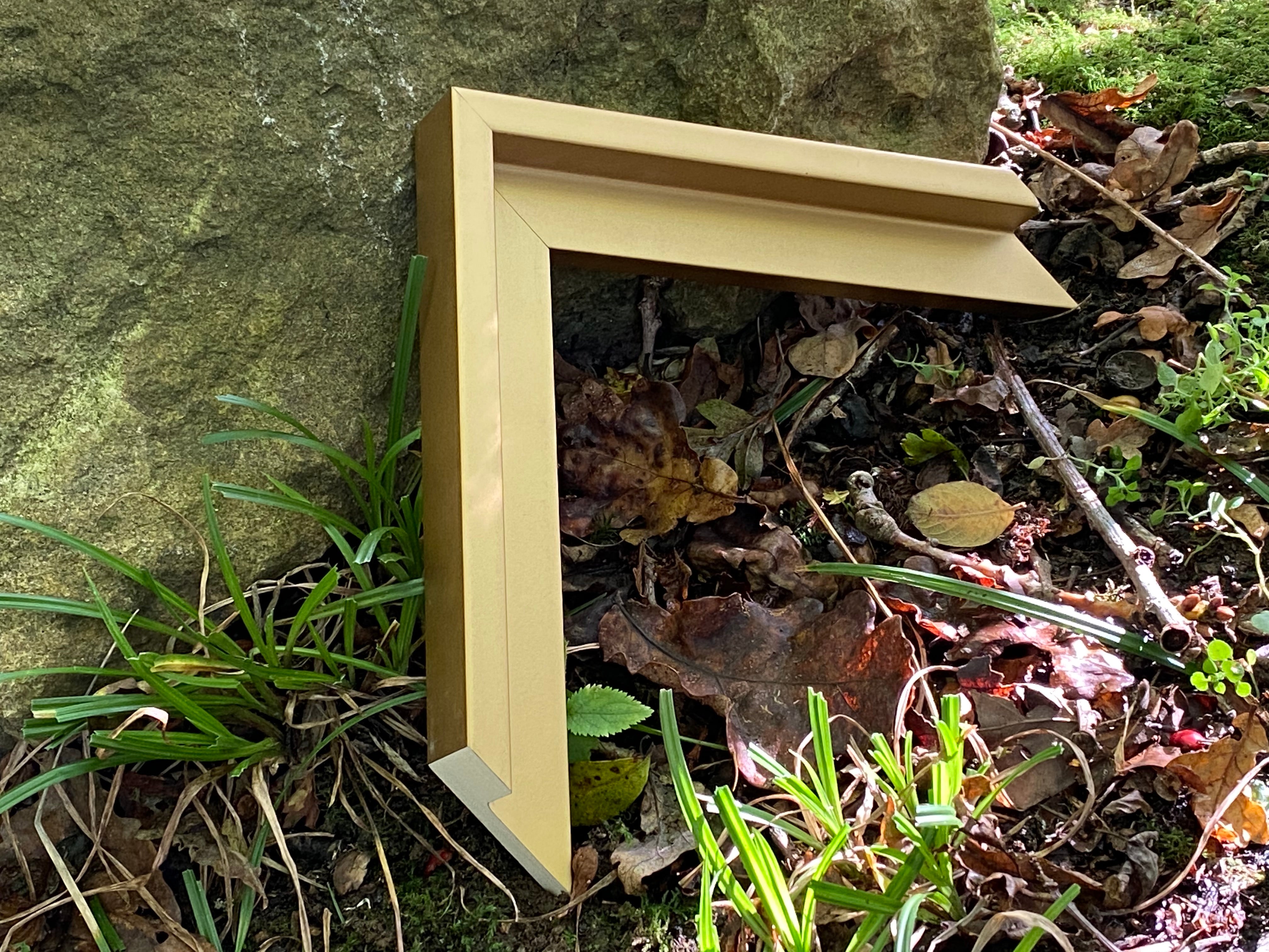 Tray Frame Shallow 12MM Matt Gold – Forest Frames